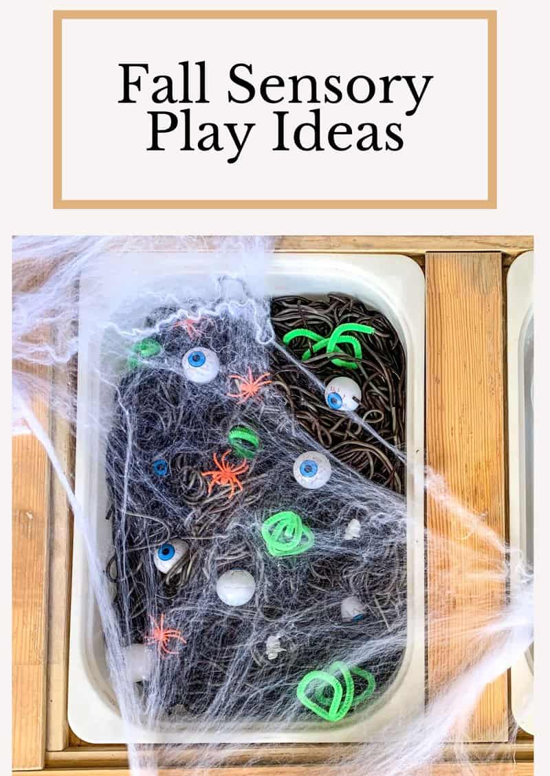 Fall Toddler Sensory Play - Kristina Oxford