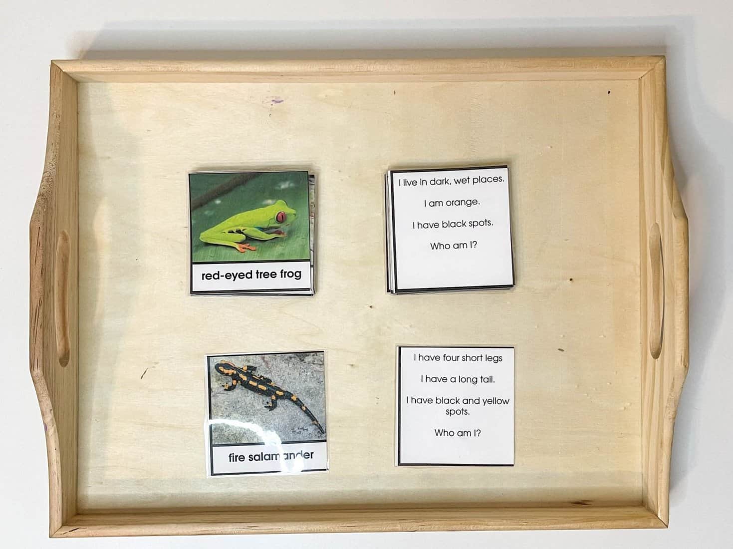 Reptile and Amphibian Preschool Activities - Kristina Oxford