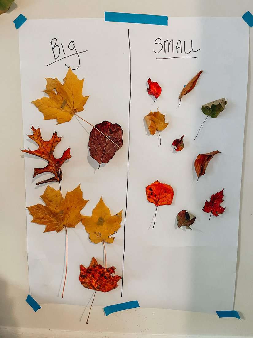 10 Easy Leaf Activities - Kristina Oxford