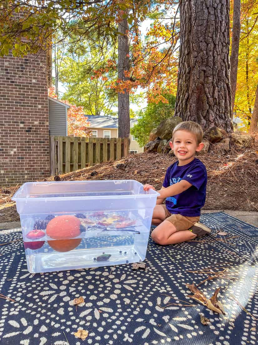 10 Easy Leaf Activities - Kristina Oxford
