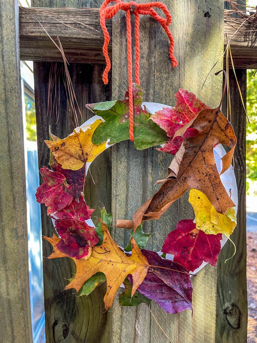 10 Easy Leaf Activities - Kristina Oxford