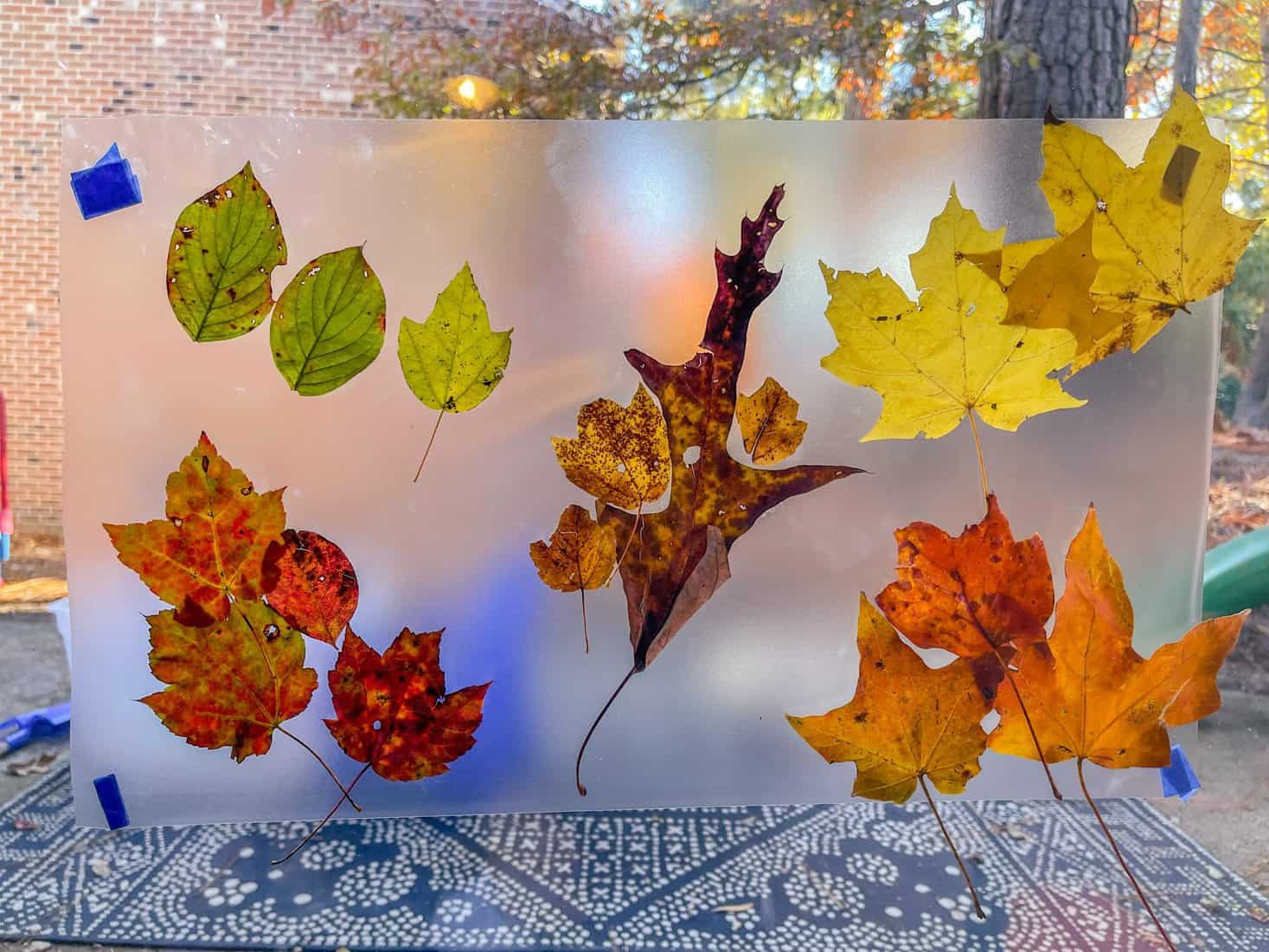 10 Easy Leaf Activities - Kristina Oxford