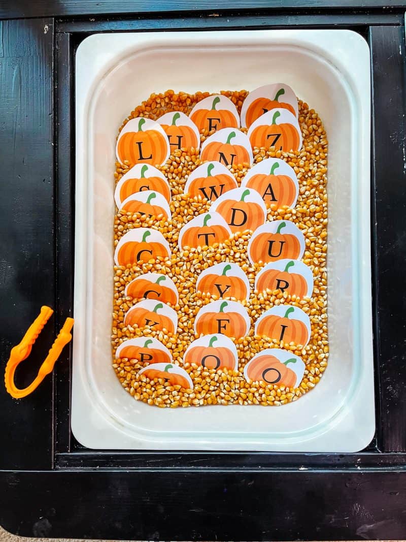 Fall Preschool Activities