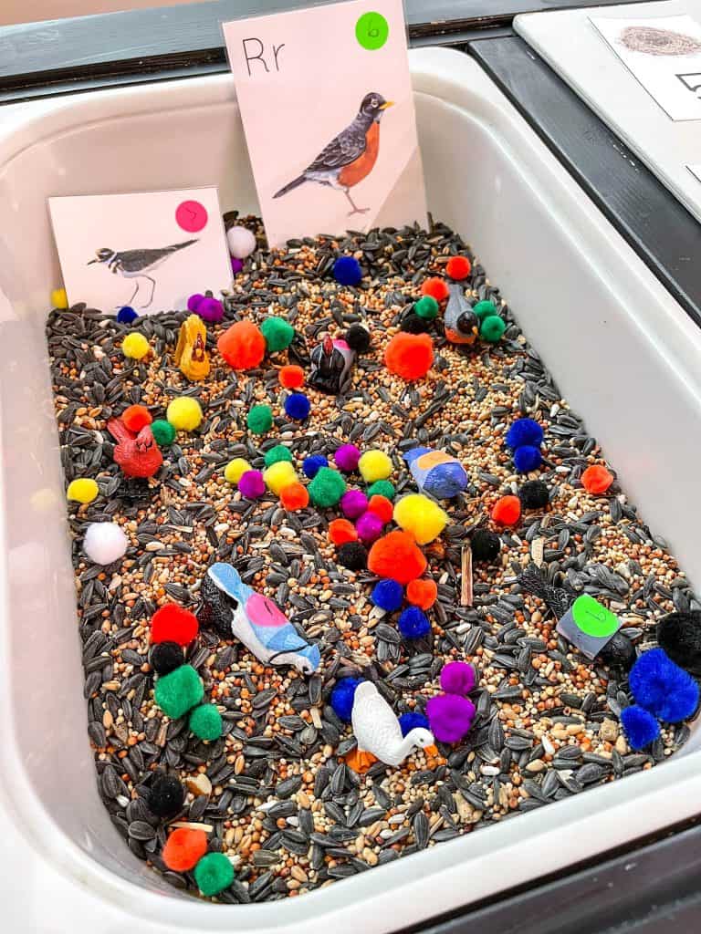 Bird Themed Counting Activity