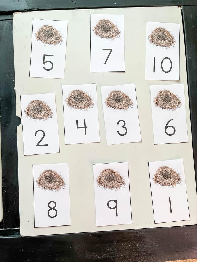 Bird Themed Counting Activity - Kristina Oxford