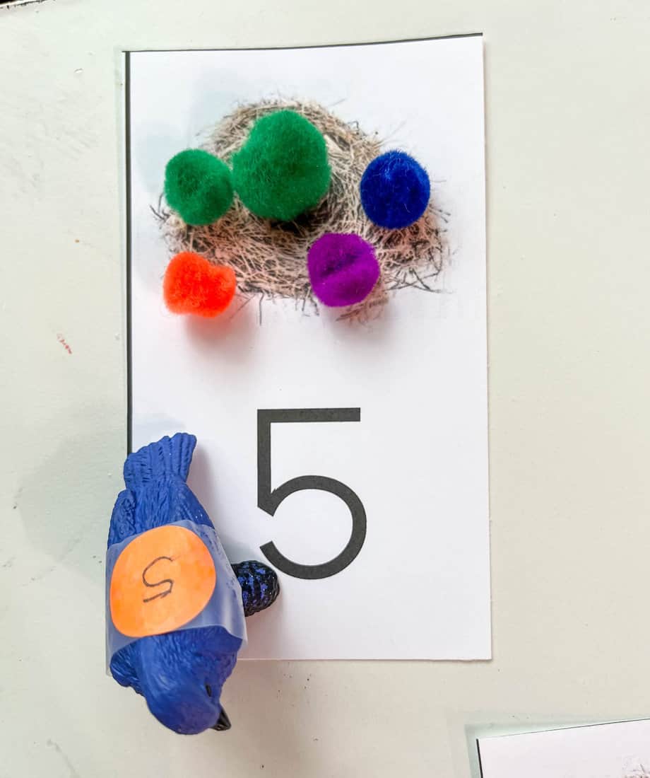 Bird Themed Counting Activity - Kristina Oxford