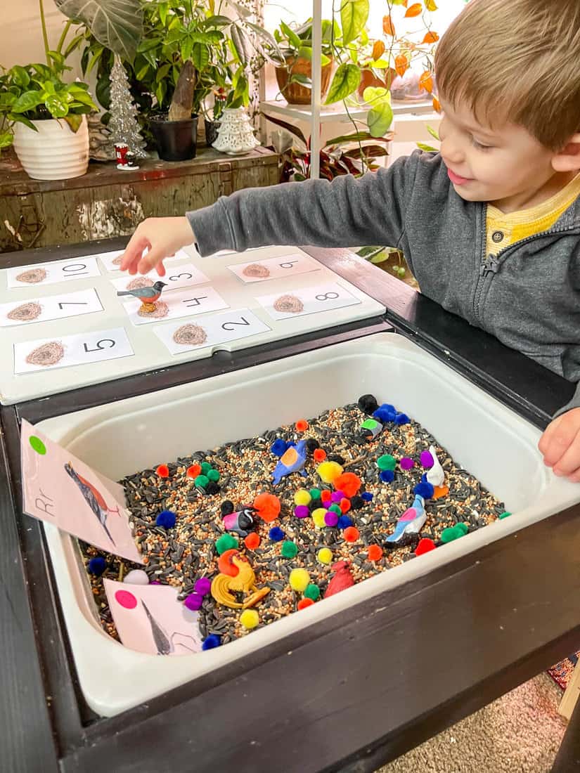 Bird Themed Counting Activity - Kristina Oxford