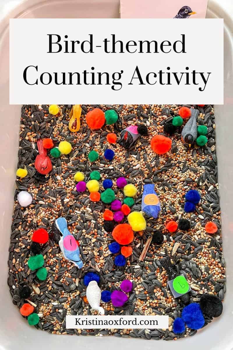 Bird Themed Counting Activity - Kristina Oxford