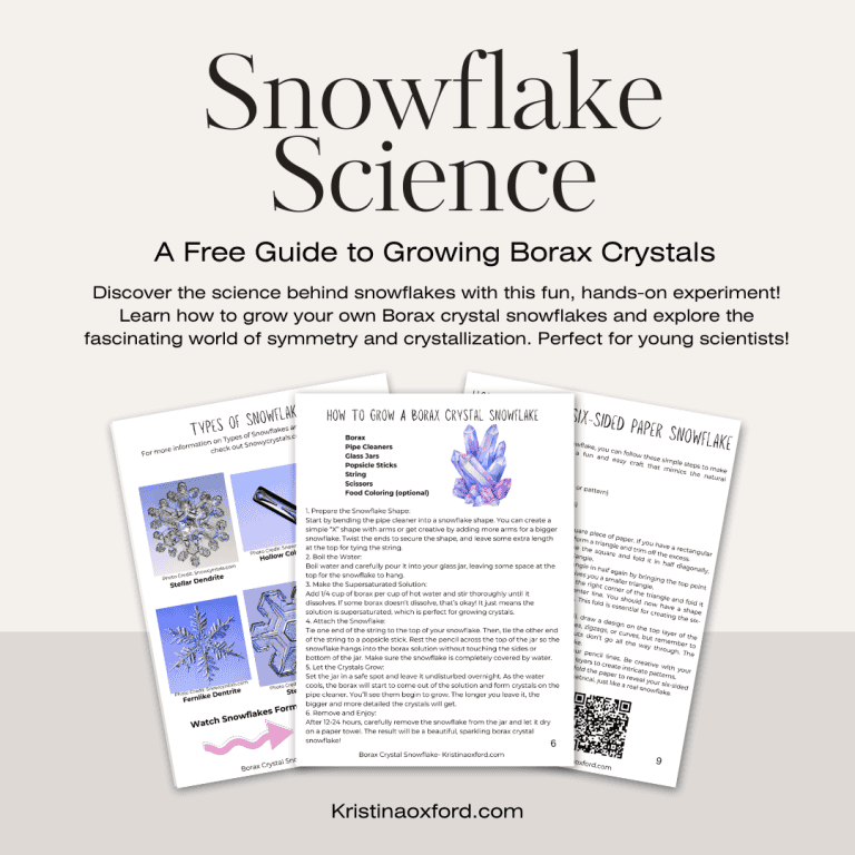 How to Grow Borax Crystal Snowflakes: Winter Science