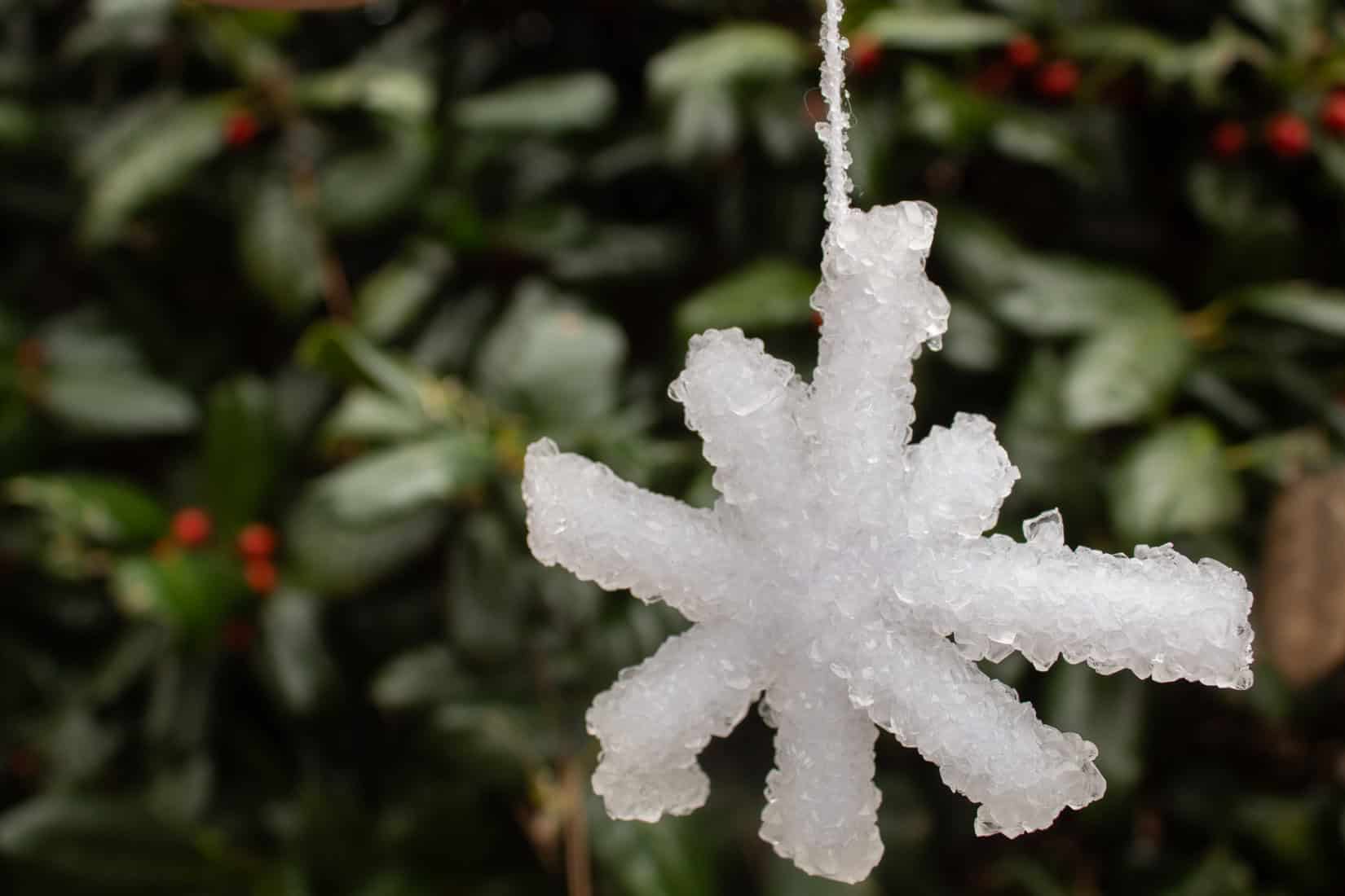 How to Grow Borax Crystal Snowflakes: Winter Science