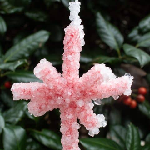 How to Grow Borax Crystal Snowflakes: Winter Science