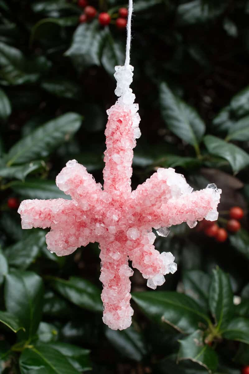 How to Grow Borax Crystal Snowflakes: Winter Science