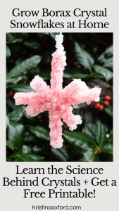 How to Grow Borax Crystal Snowflakes: Winter Science