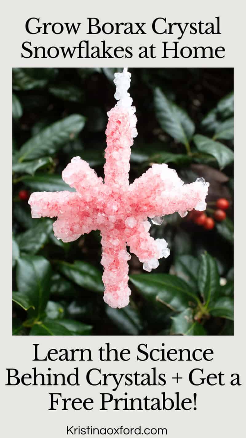 How to Grow Borax Crystal Snowflakes: A Winter Science Activity for ...