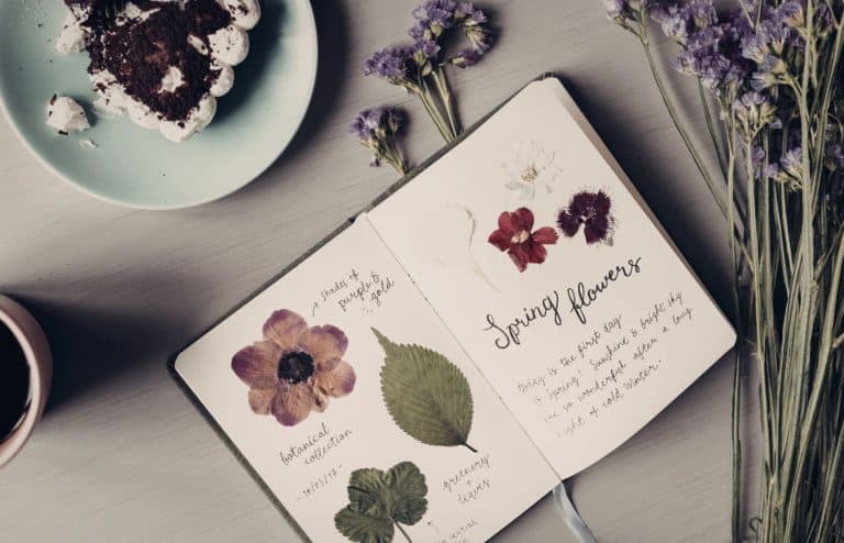 40 Spring STEM Activities for Kids